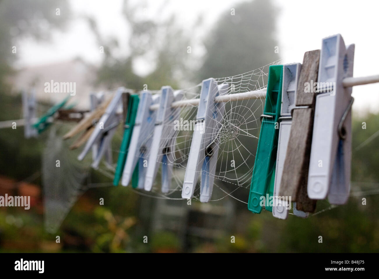 A spiders web on clothes pegs on a washing line Stock Photo - Alamy