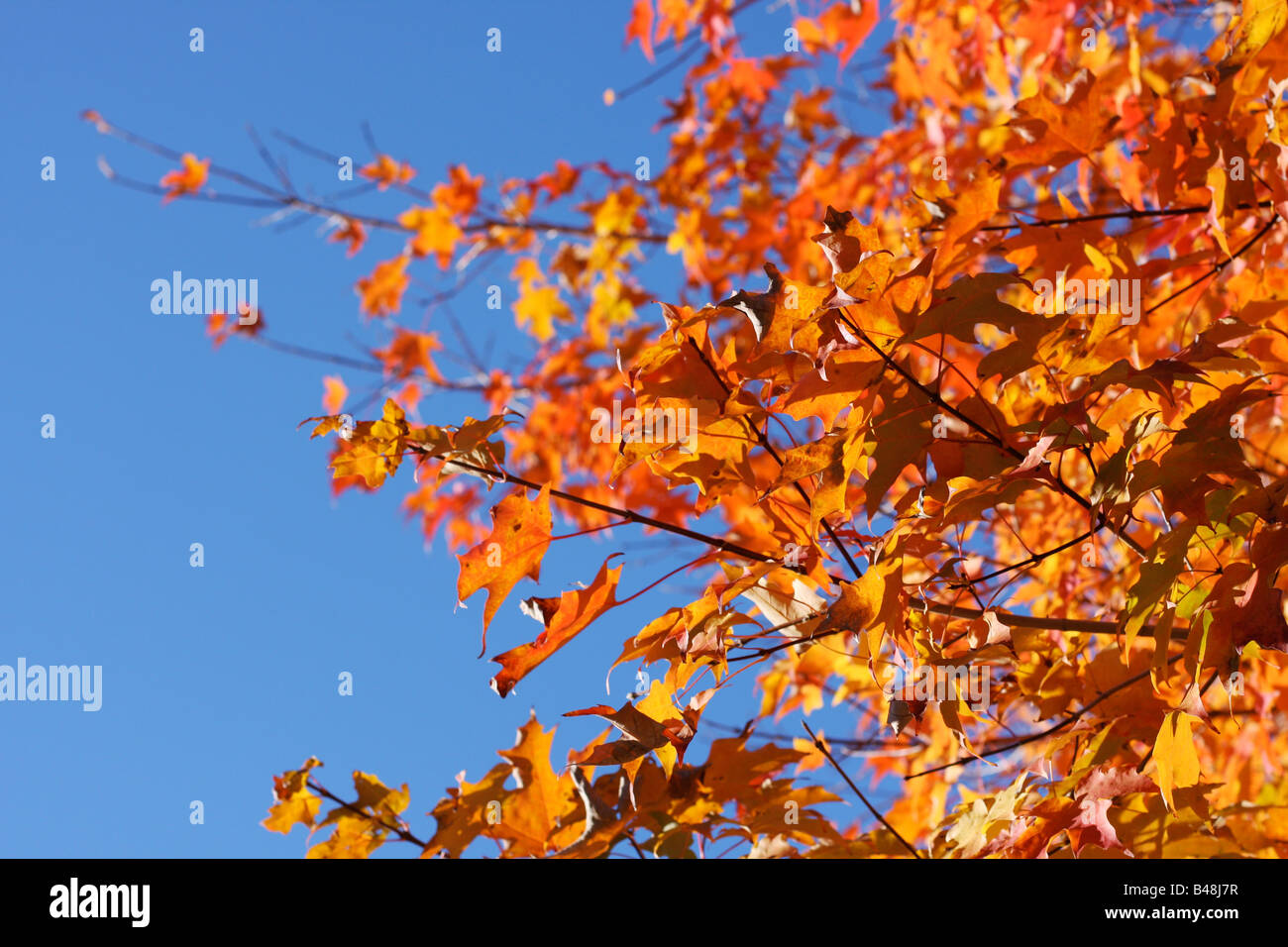 Season seasons hi-res stock photography and images - Alamy