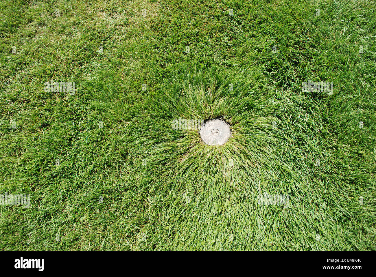 Unintentional pattern in the grass caused by the lawn sprinkler Seen at ...