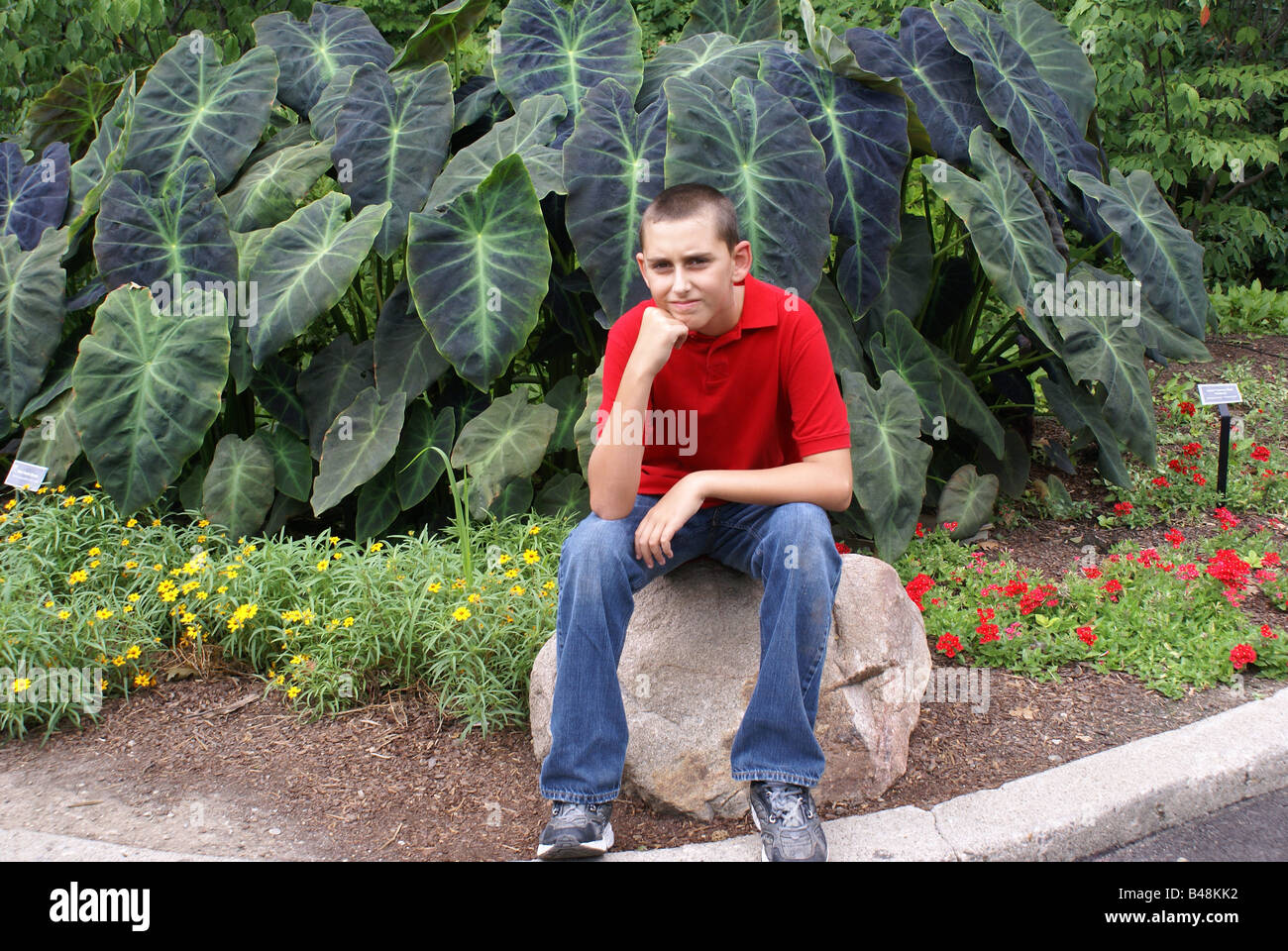 Sitting and Waiting Stock Photo - Alamy
