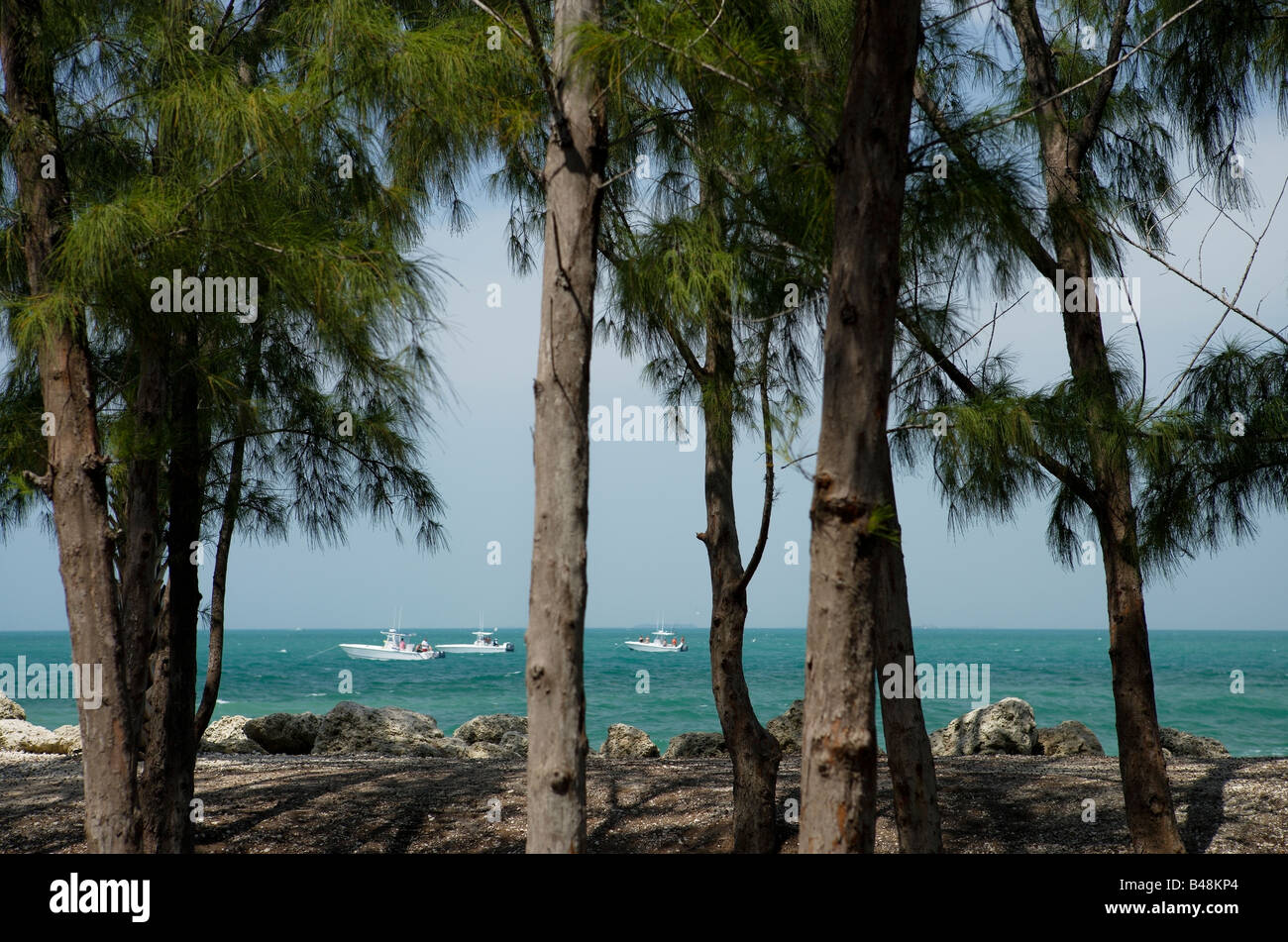 Picnic area on beach in Key West with palms and azure sea on sunny day ...