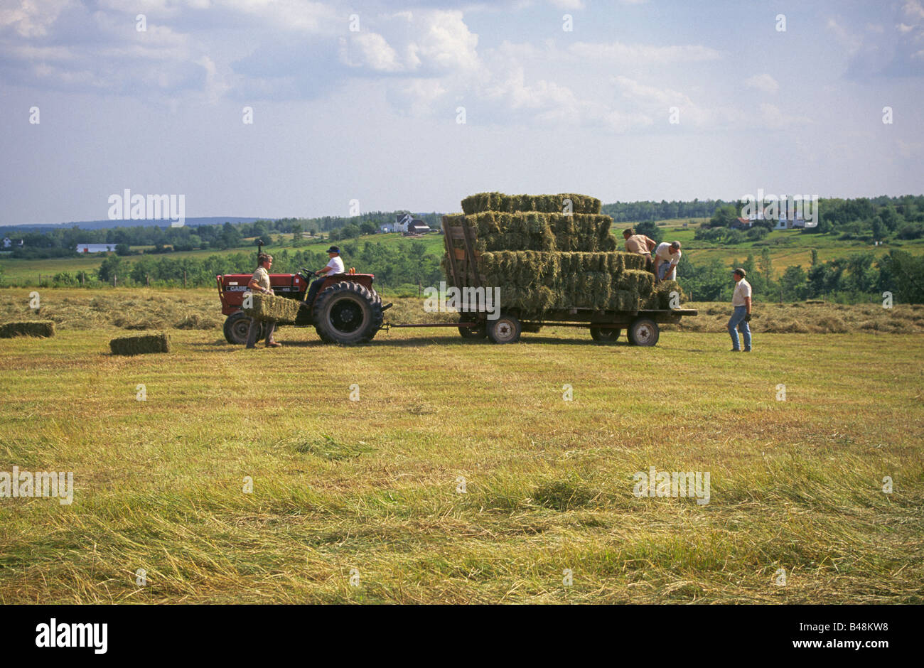 Farmers cutting harvesting hay hi-res stock photography and images - Alamy