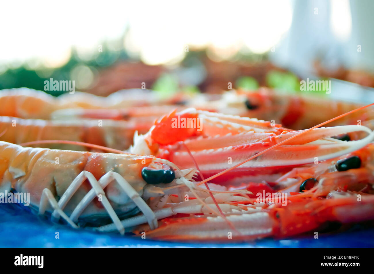 closeup of some fresh prawns ready to cook Stock Photo - Alamy