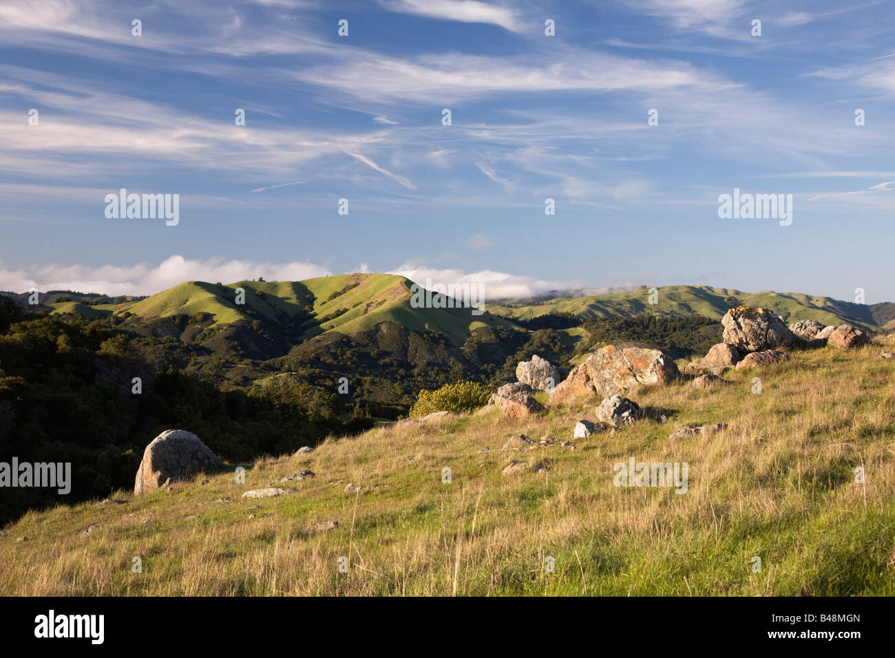 Azalea Hill along the Fairfax Bolinas Road Marin County California USA ...
