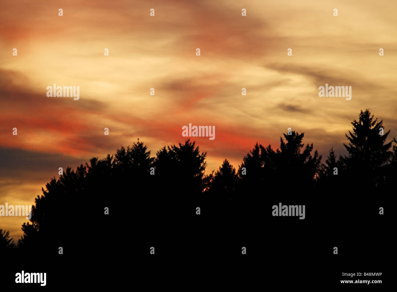 Sunset above the forest Stock Photo - Alamy