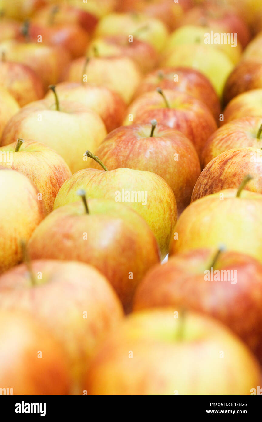 Lots of apple Stock Photo - Alamy