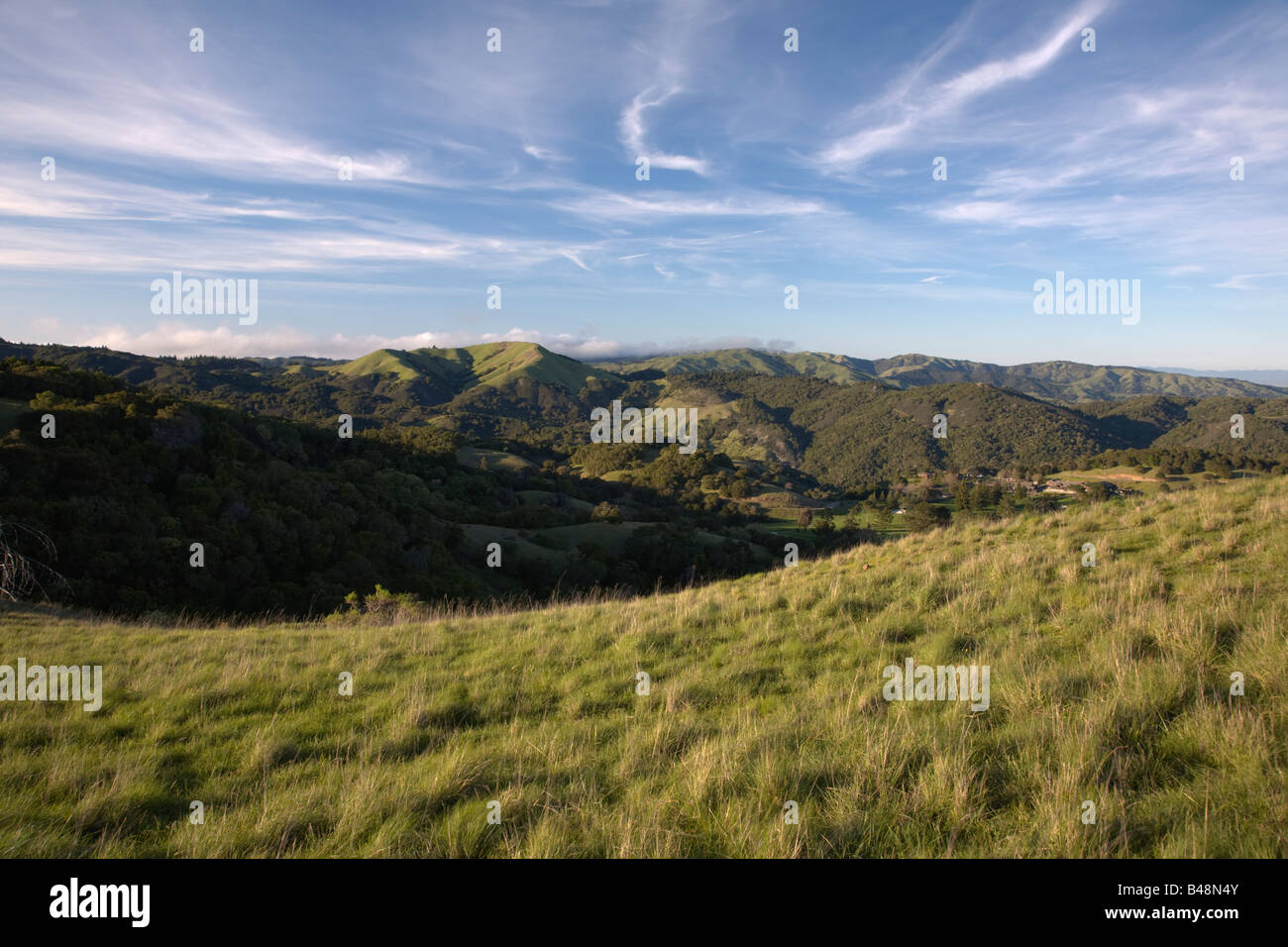 Azalea Hill along the Fairfax Bolinas Road Marin County California USA ...