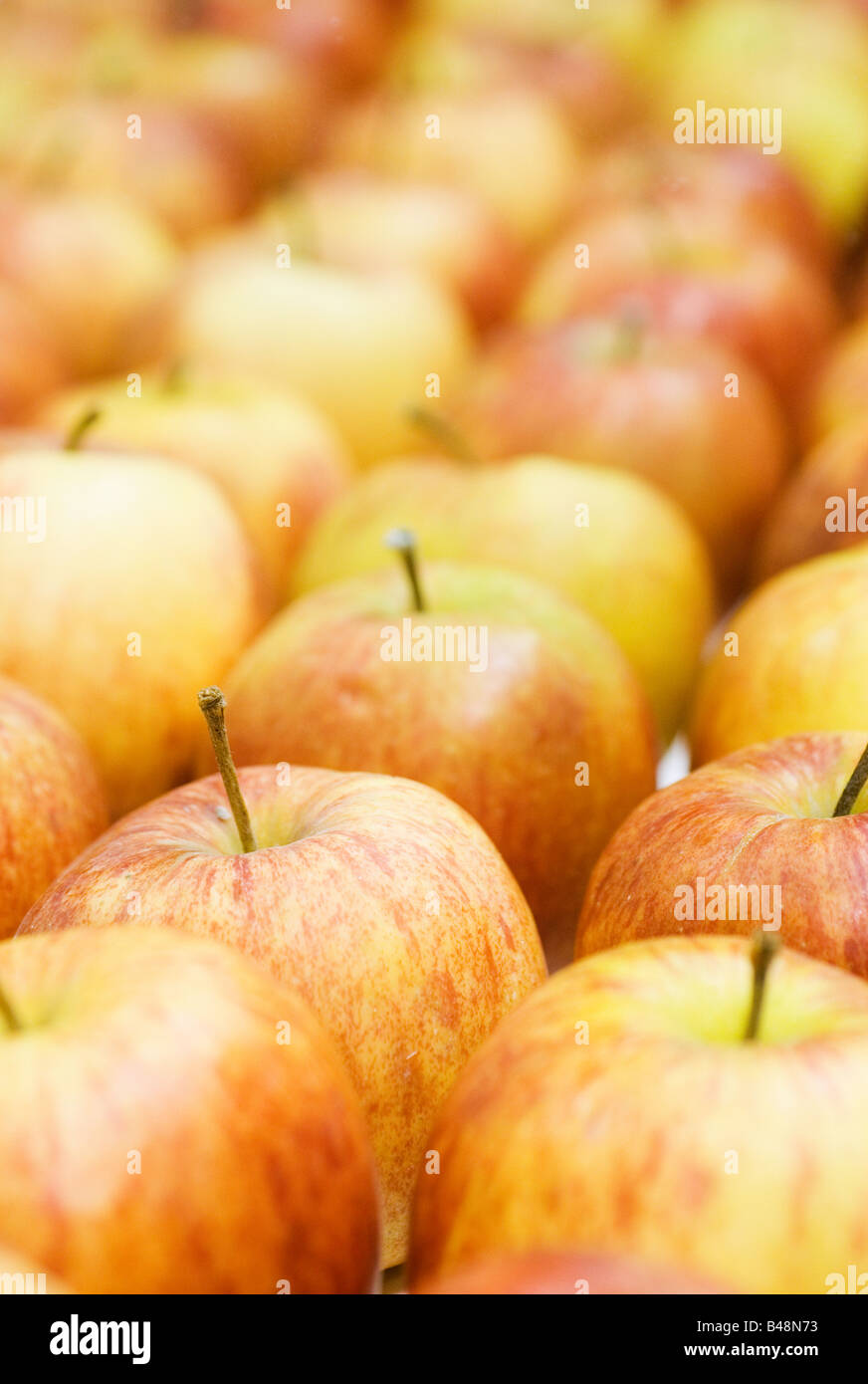 Lots of apple Stock Photo - Alamy