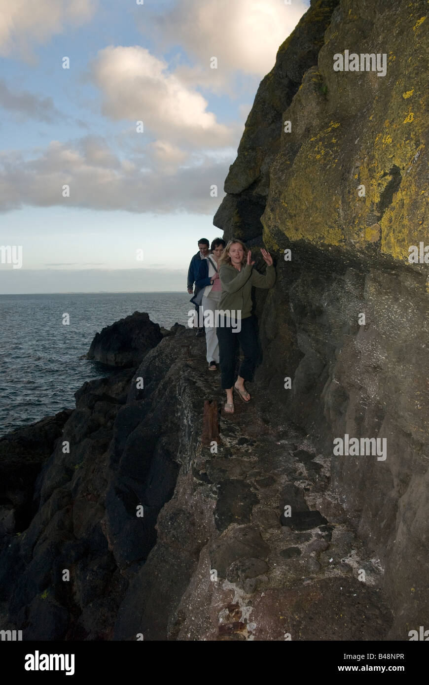The Gobbins Cliffs Path. Northern Ireland Stock Photo - Alamy
