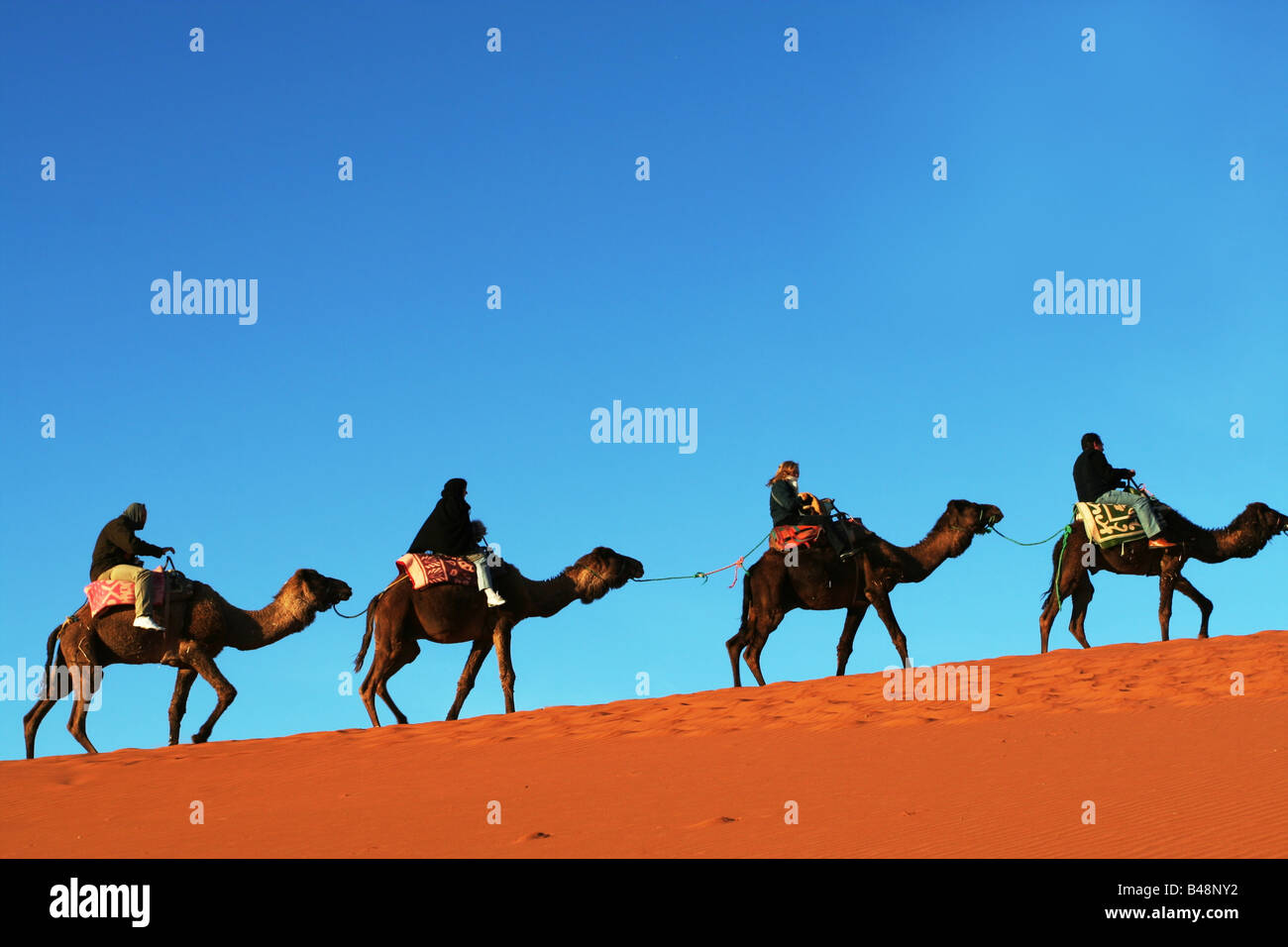 Caravan in the desert hi-res stock photography and images - Alamy