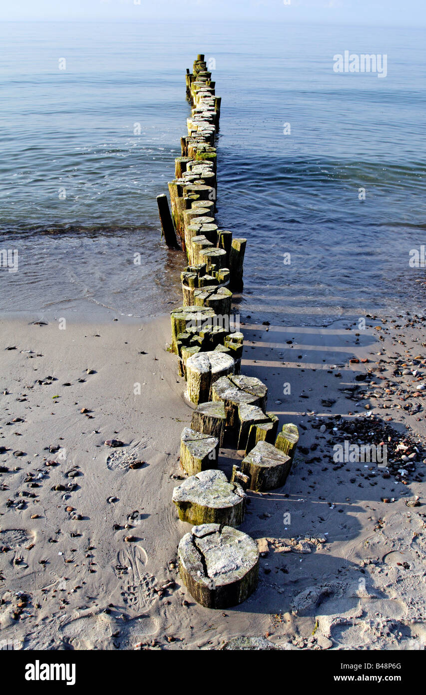 Wooden breakwaters in Baltic Sea Stock Photo - Alamy