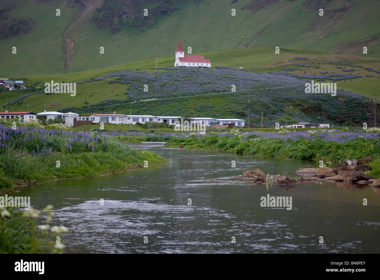 Summer flowers vik iceland hi-res stock photography and images - Alamy