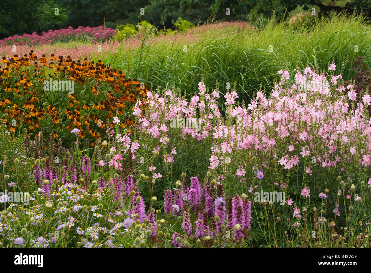 Herbaceous beds hi-res stock photography and images - Alamy