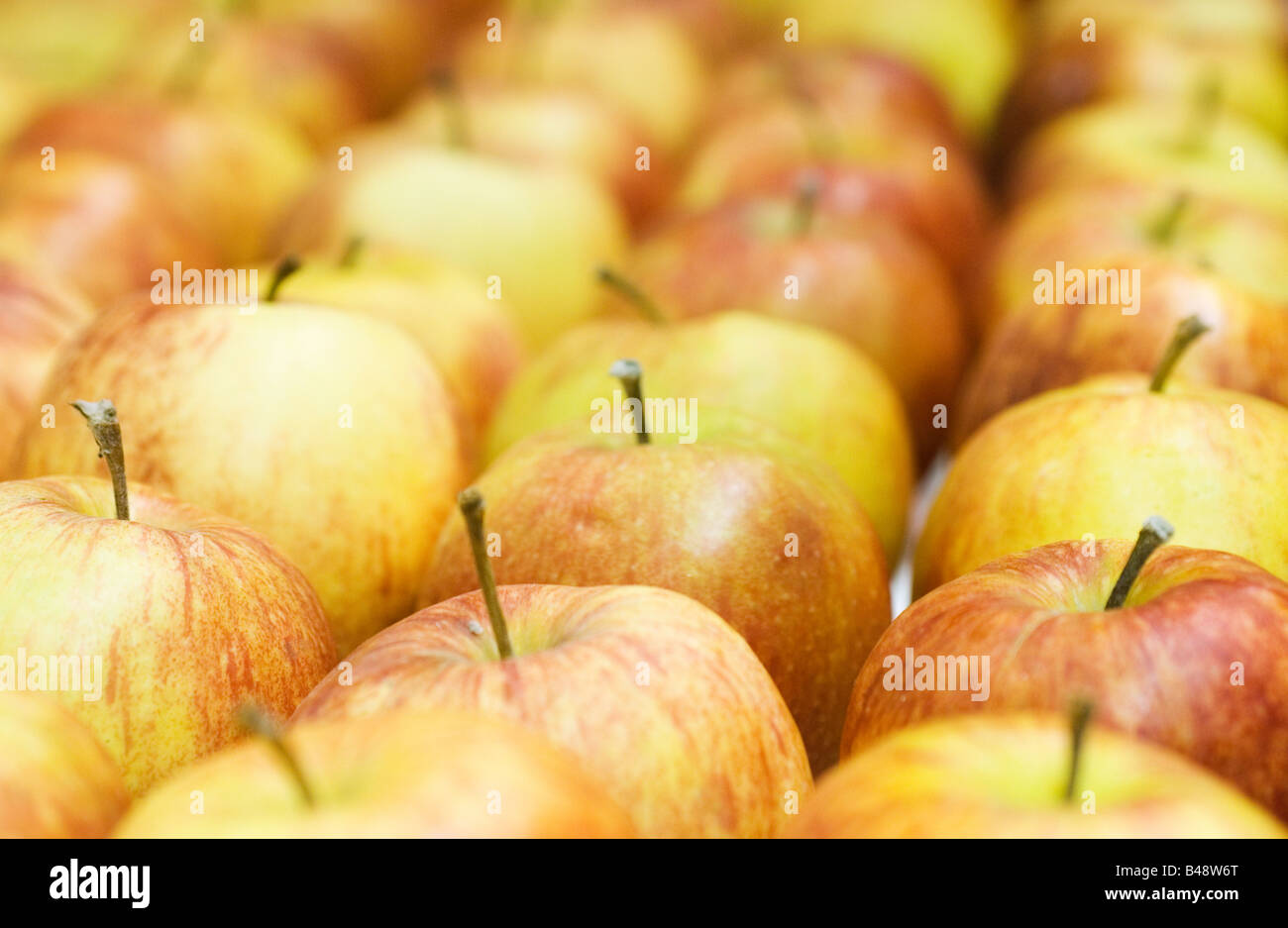 Lots of apple Stock Photo - Alamy