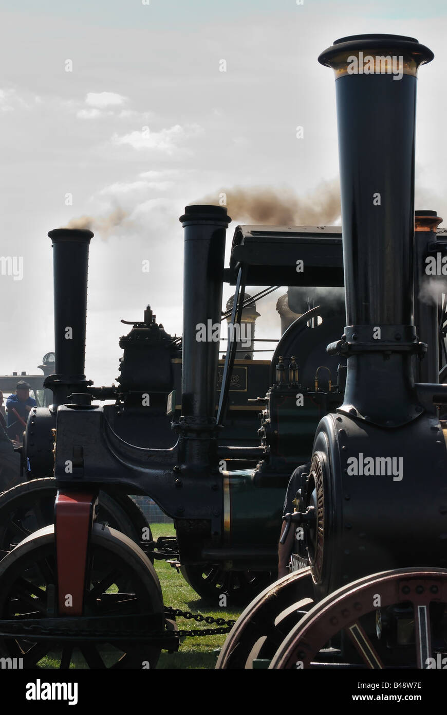 A line up of traction steam engines Stock Photo - Alamy