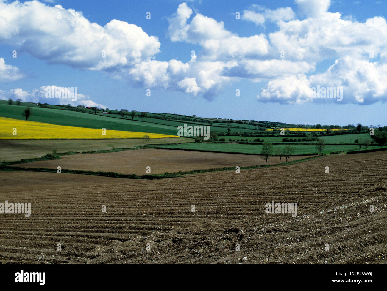 large fields ready for crop sowing, farming agricultural land Stock ...