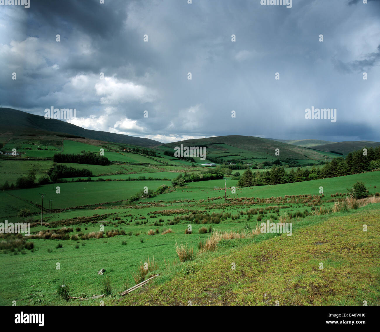 lush green hill pastures in the irelands landscape beauty in nature ...