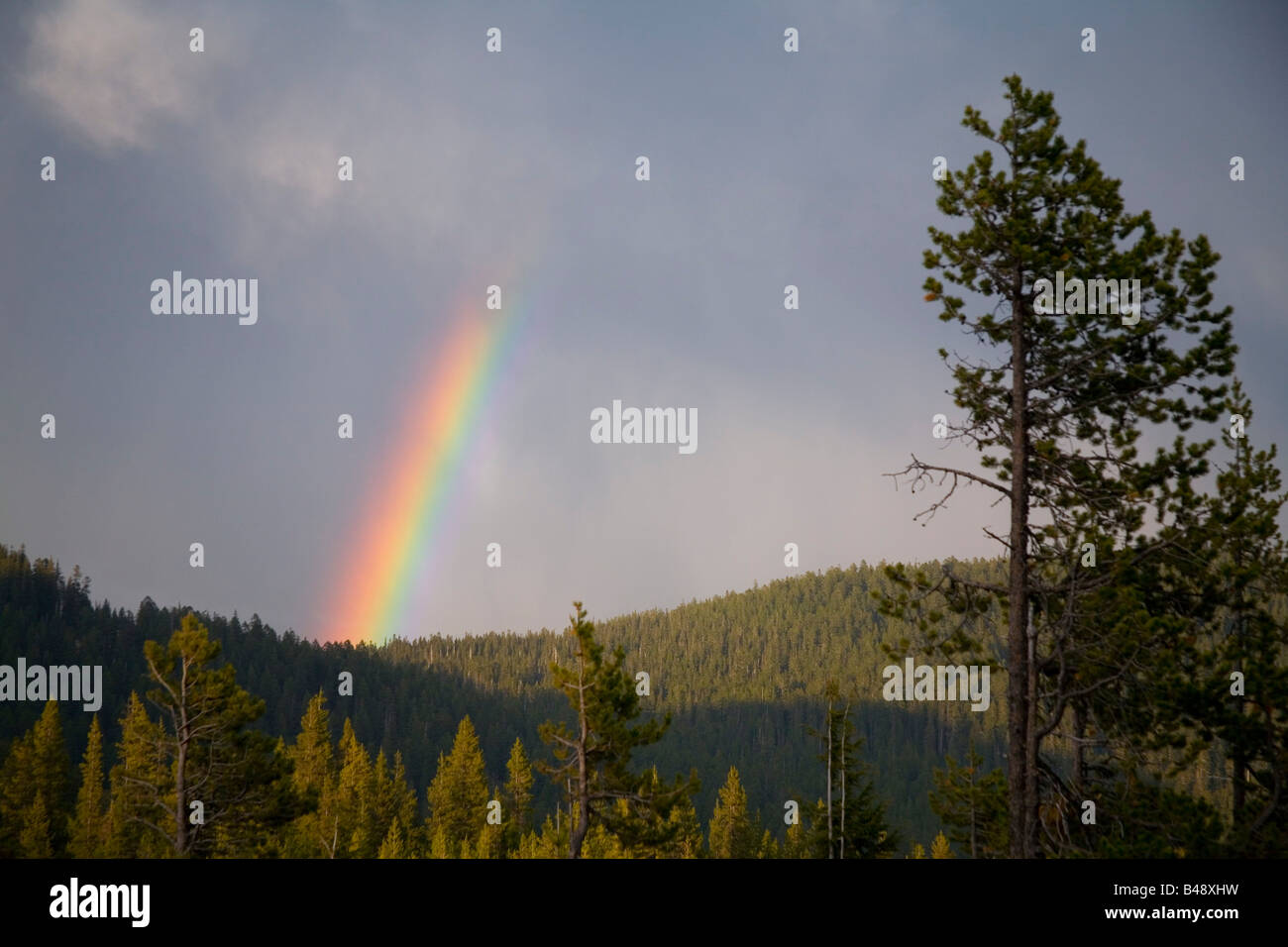 Rainbow, Mount Hood, Oregon, USA Stock Photo - Alamy