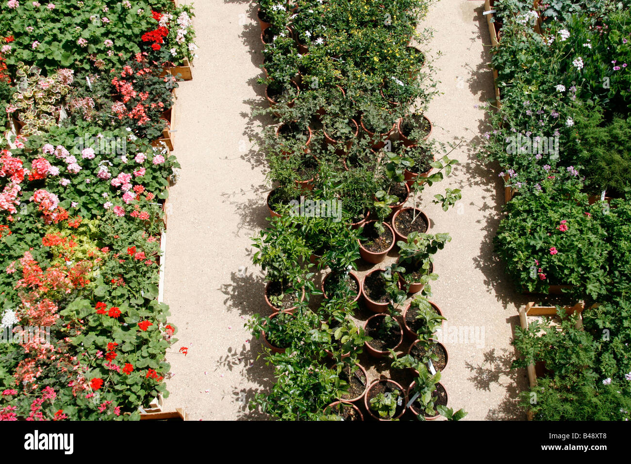 aerial view of different plants for sale at garden show event Stock ...