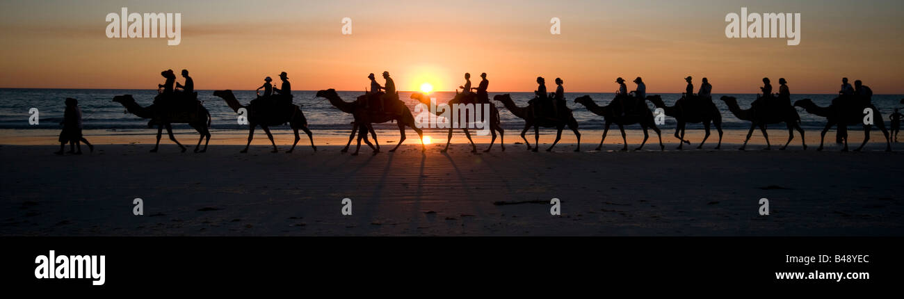 Camel trains carrying tourists at sunset on Cable Beach near Broome ...