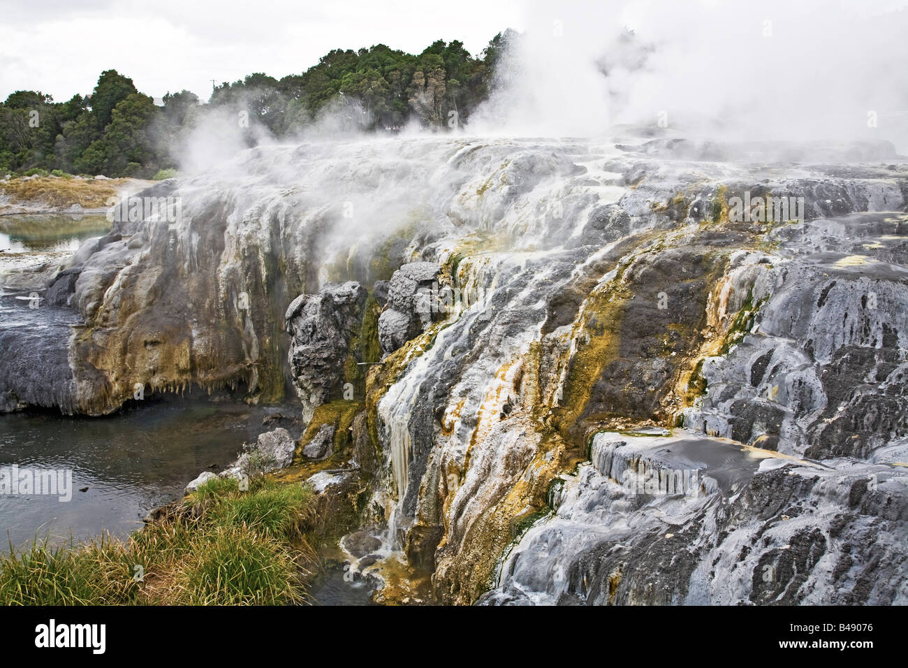 Hot springs in Rotorua, New Zealand Stock Photo - Alamy
