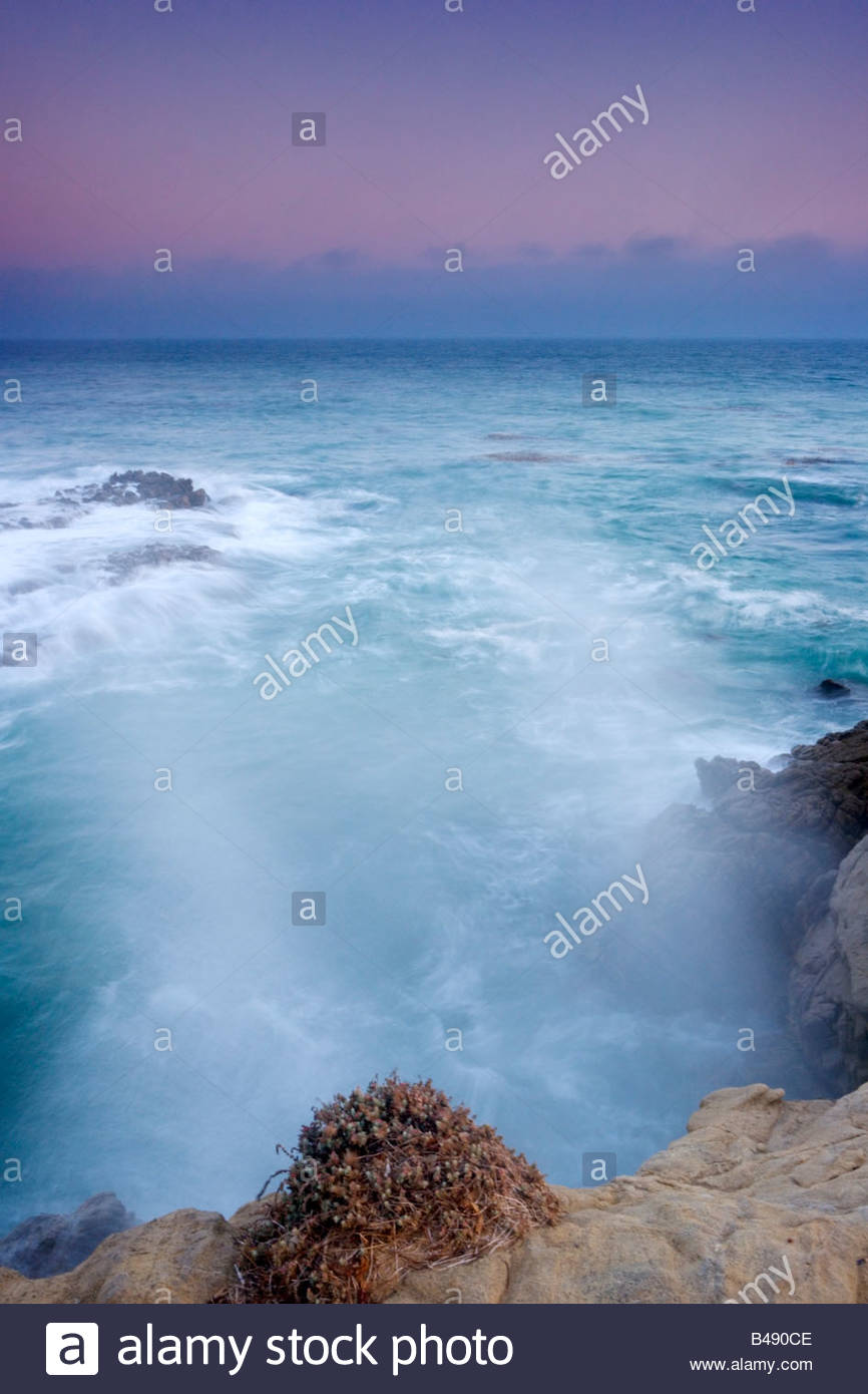 Tidal Ecosystem High Resolution Stock Photography and Images - Alamy