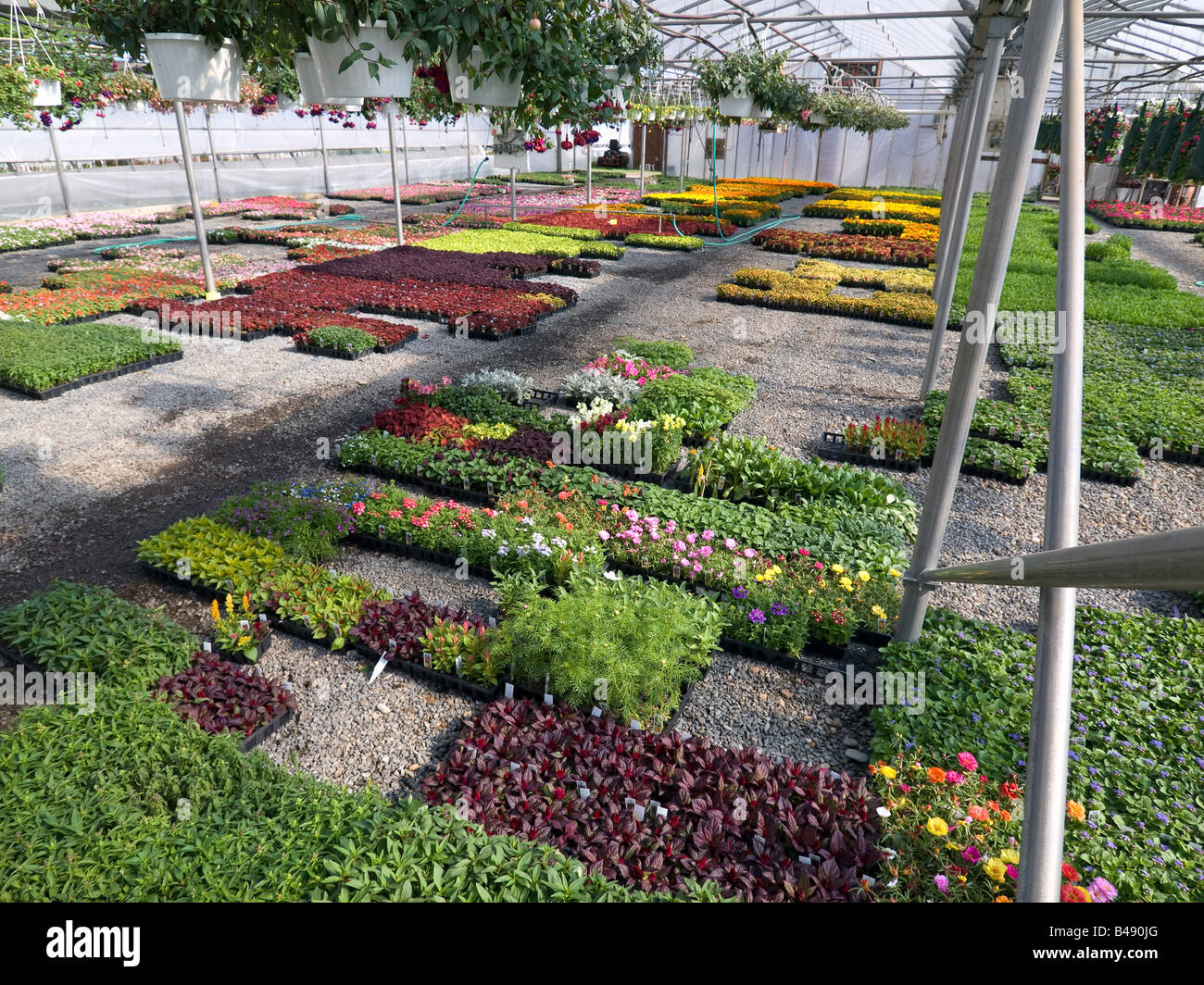 Pulaski new york hi-res stock photography and images - Alamy