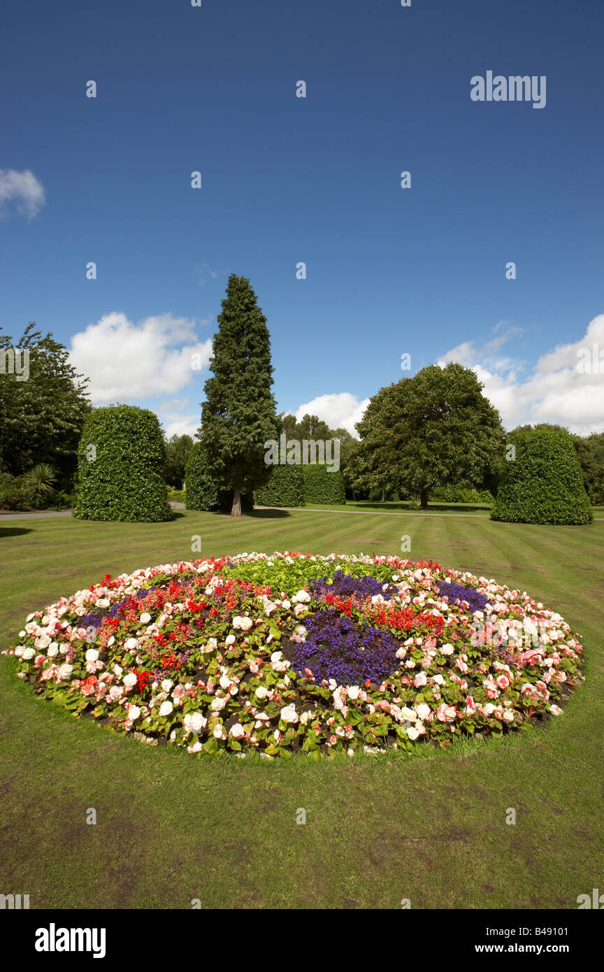 Colorful flowers in park Stock Photo - Alamy