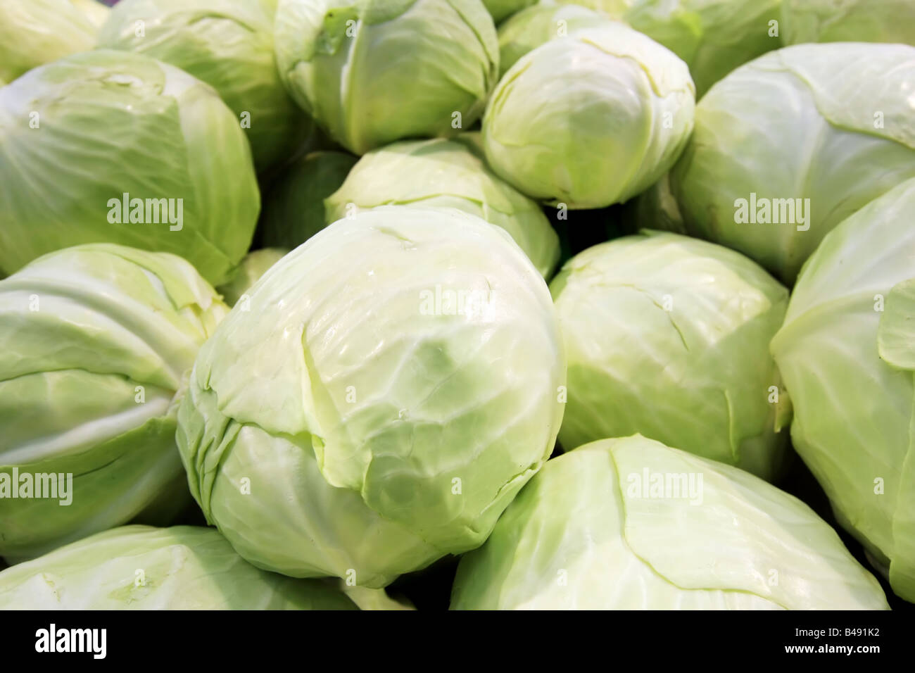Fresh cabbage at a farmer s market Stock Photo - Alamy