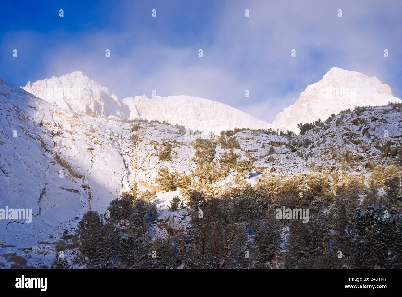 Fresh snow on Mount Abbot after a winter storm John Muir Wilderness ...