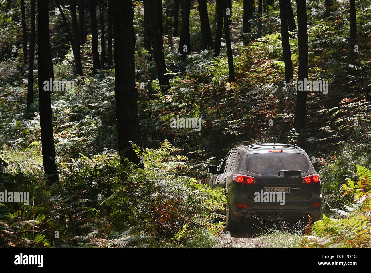 Off road vehicle going throw forest Argarllo mountains Galicia Spain ...