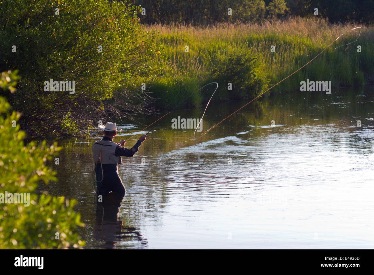 A man fly fishing in Jackson Hole Wyoming Stock Photo - Alamy