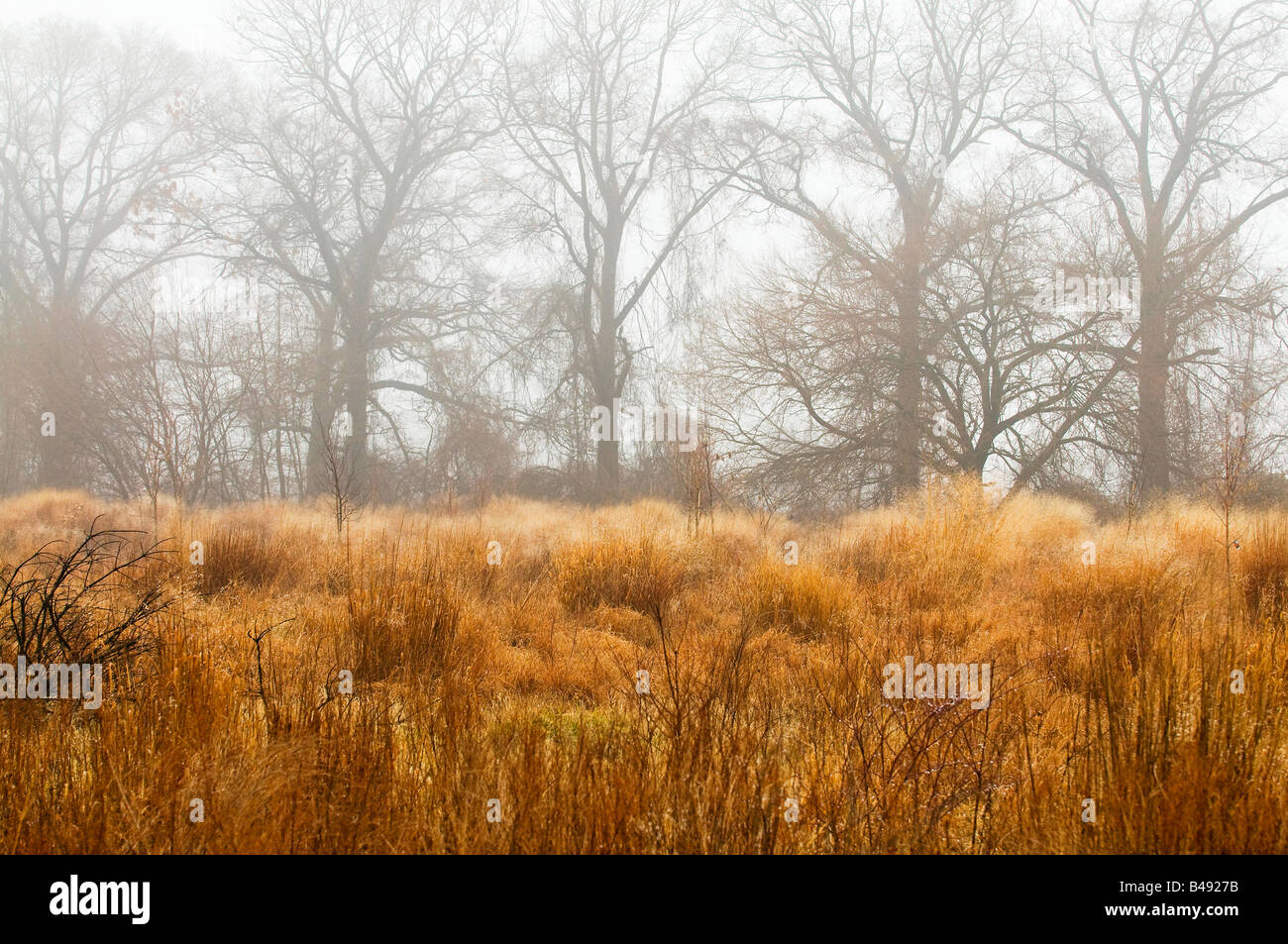 Mist water form fog hi-res stock photography and images - Alamy
