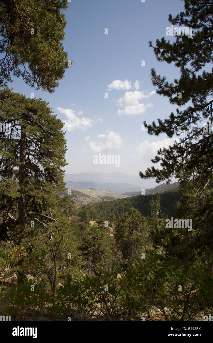 Troodos National Forest Park Located at the centre of the island about ...