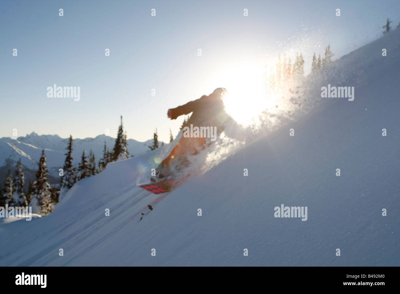 snowboarder carving a turn in powder Stock Photo - Alamy