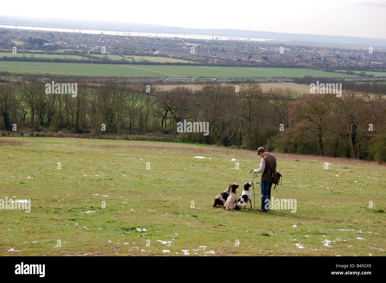 Hunter and his dogs on a cold morning Stock Photo - Alamy