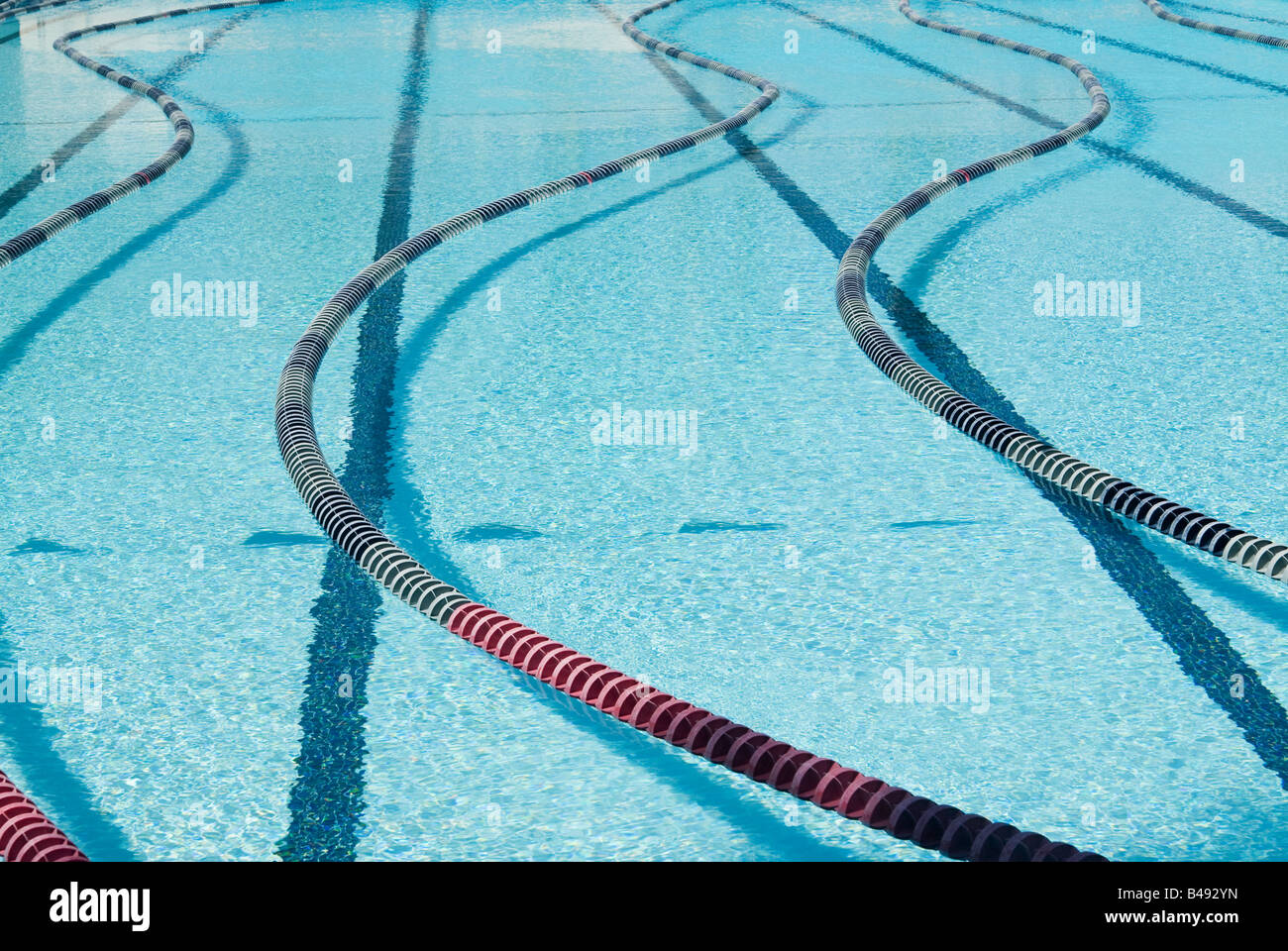 swimming pool lane lines water floating free Stock Photo - Alamy