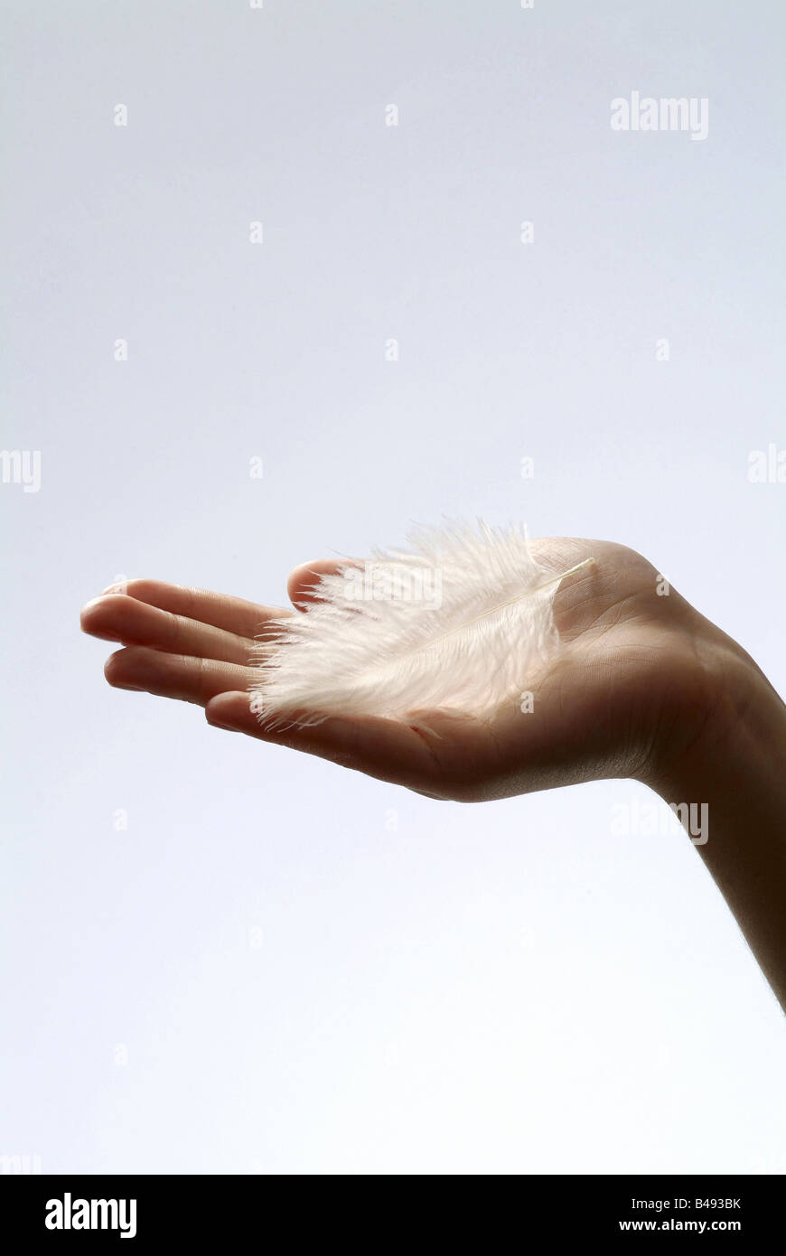 Hand holding a feather Stock Photo - Alamy