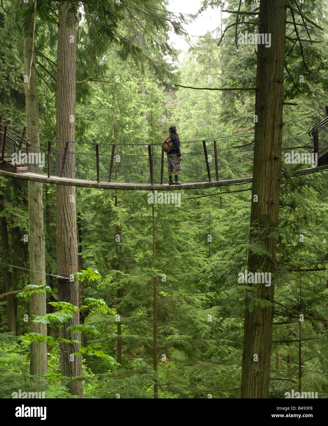 Small suspension bridge near Capilano suspension bridge in Vancouver ...