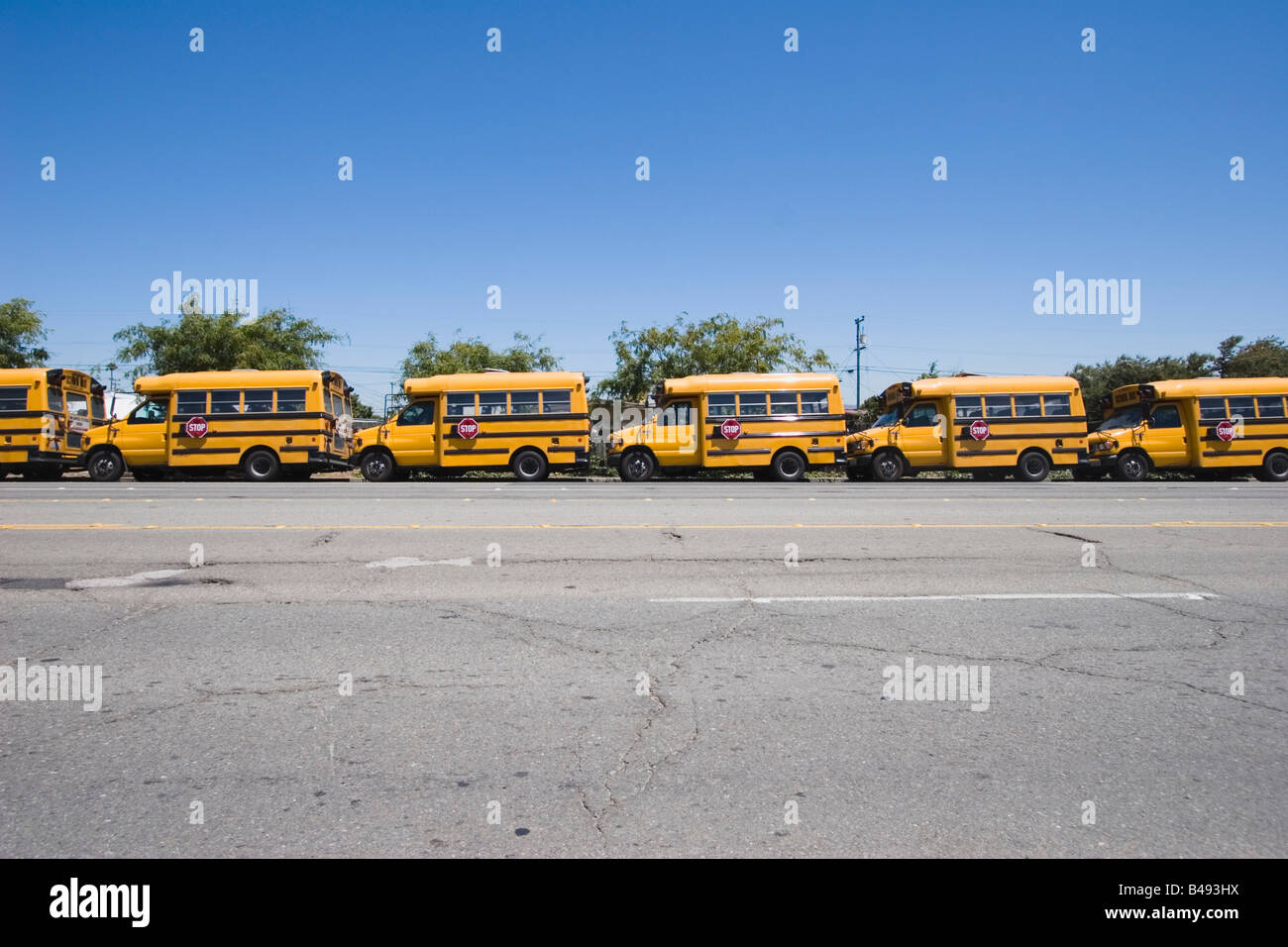 Yellow school buses parked on the street Stock Photo - Alamy