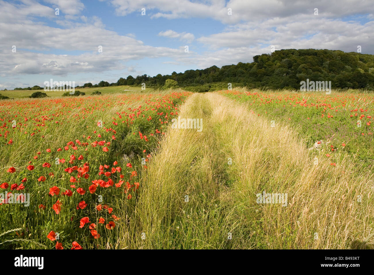Long pictorial hi-res stock photography and images - Alamy