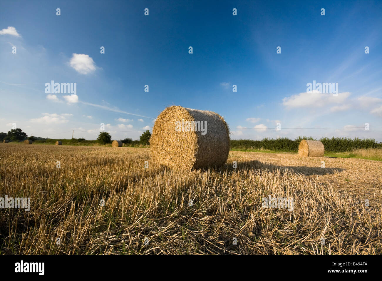 Straw bales in a Norfolk field - England Stock Photo - Alamy