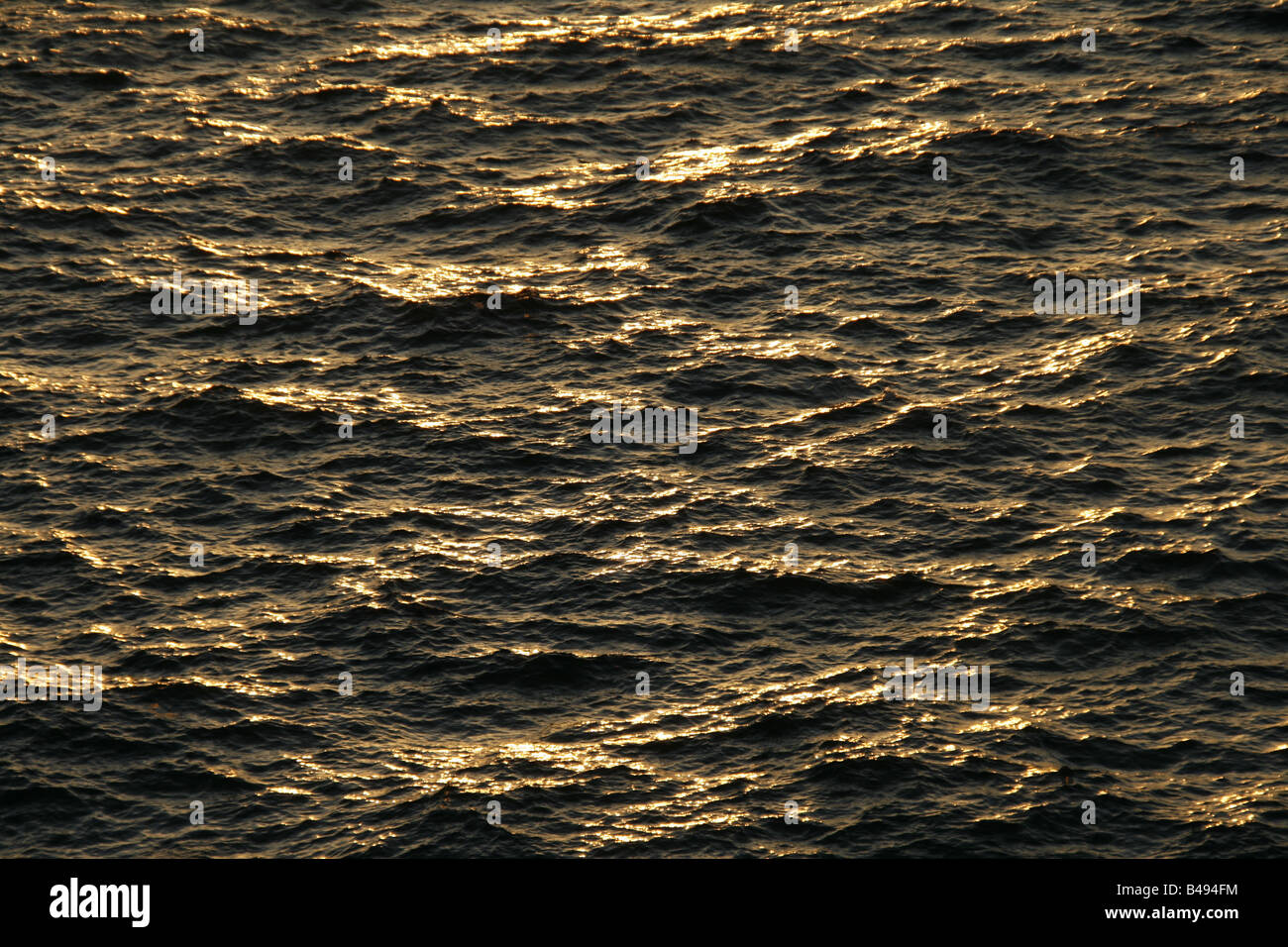 detail of pattern in waves in gold sea at sunset Stock Photo - Alamy