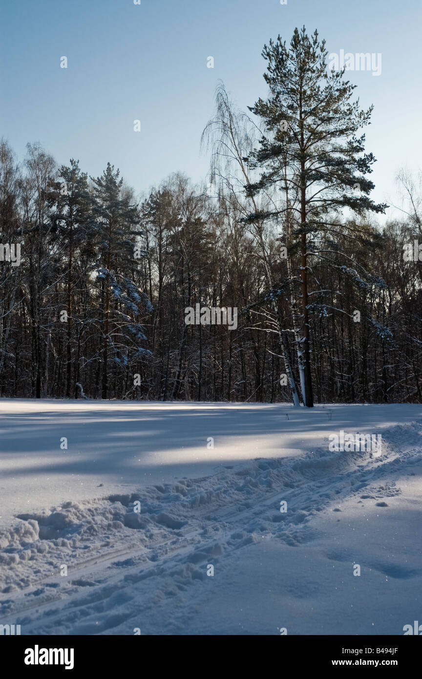 Winter glade with ski tracks Stock Photo - Alamy
