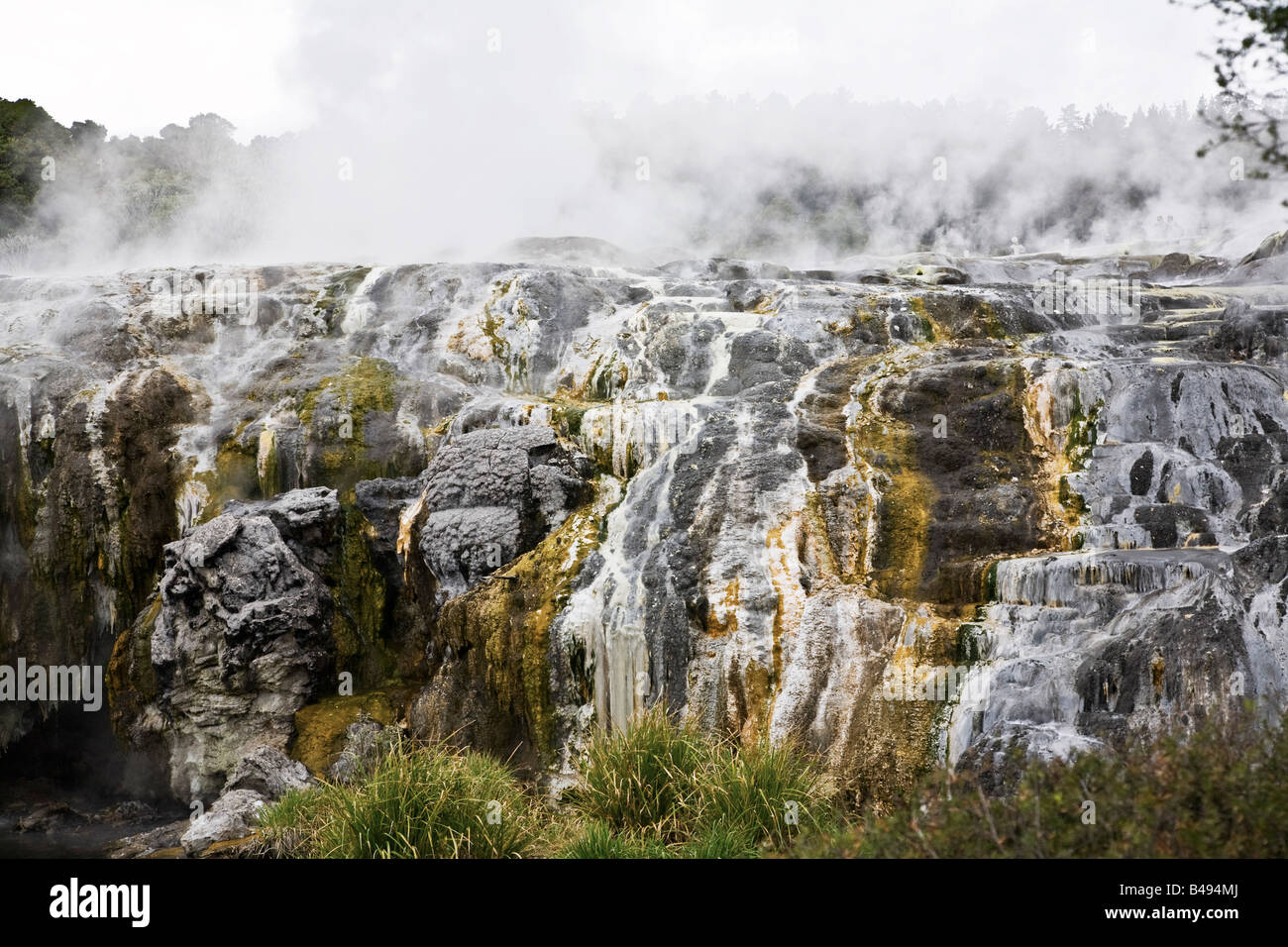 Hot springs in Rotorua, New Zealand Stock Photo - Alamy