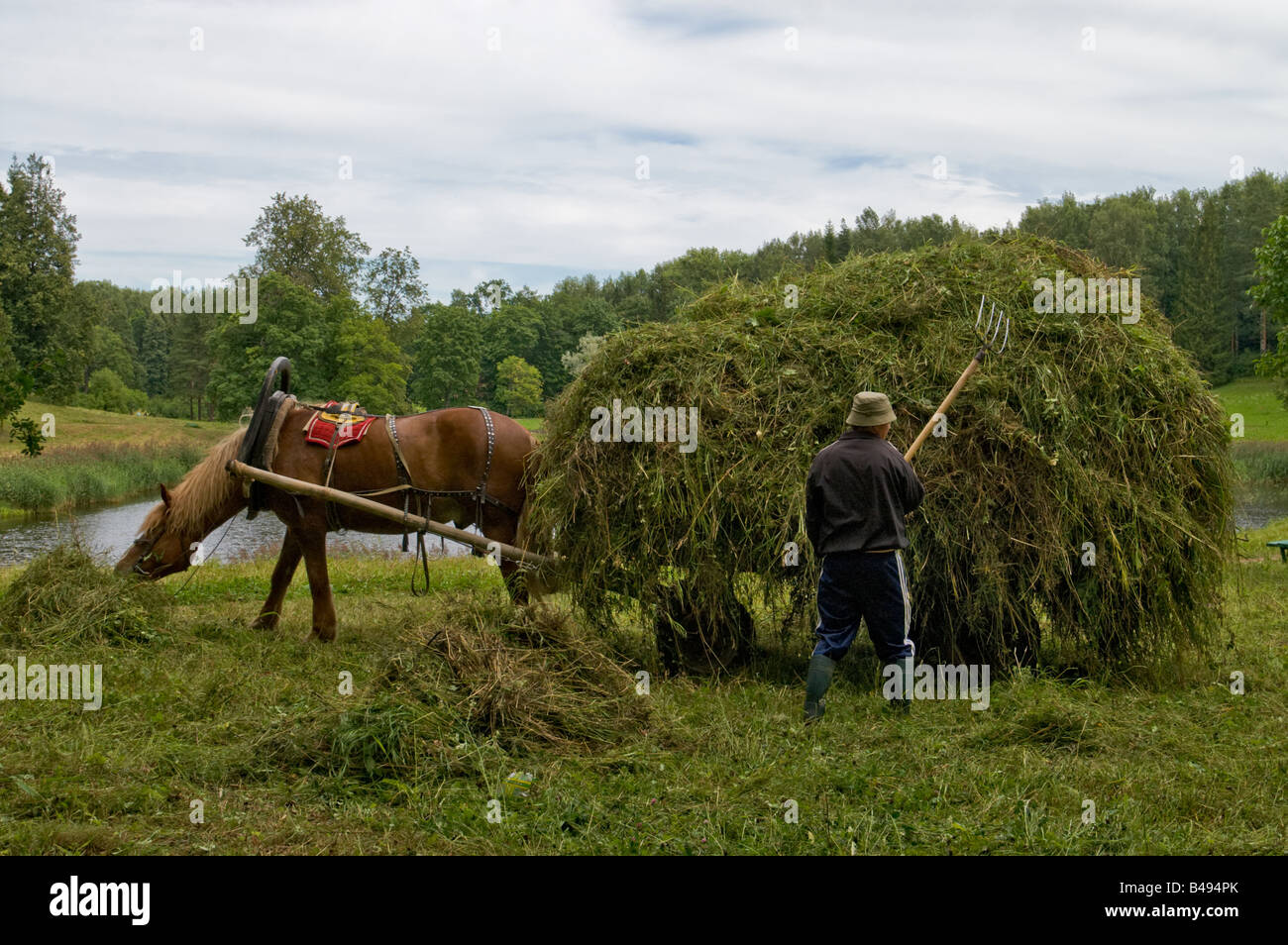 Man with horse and cart full of hay hi-res stock photography and images ...