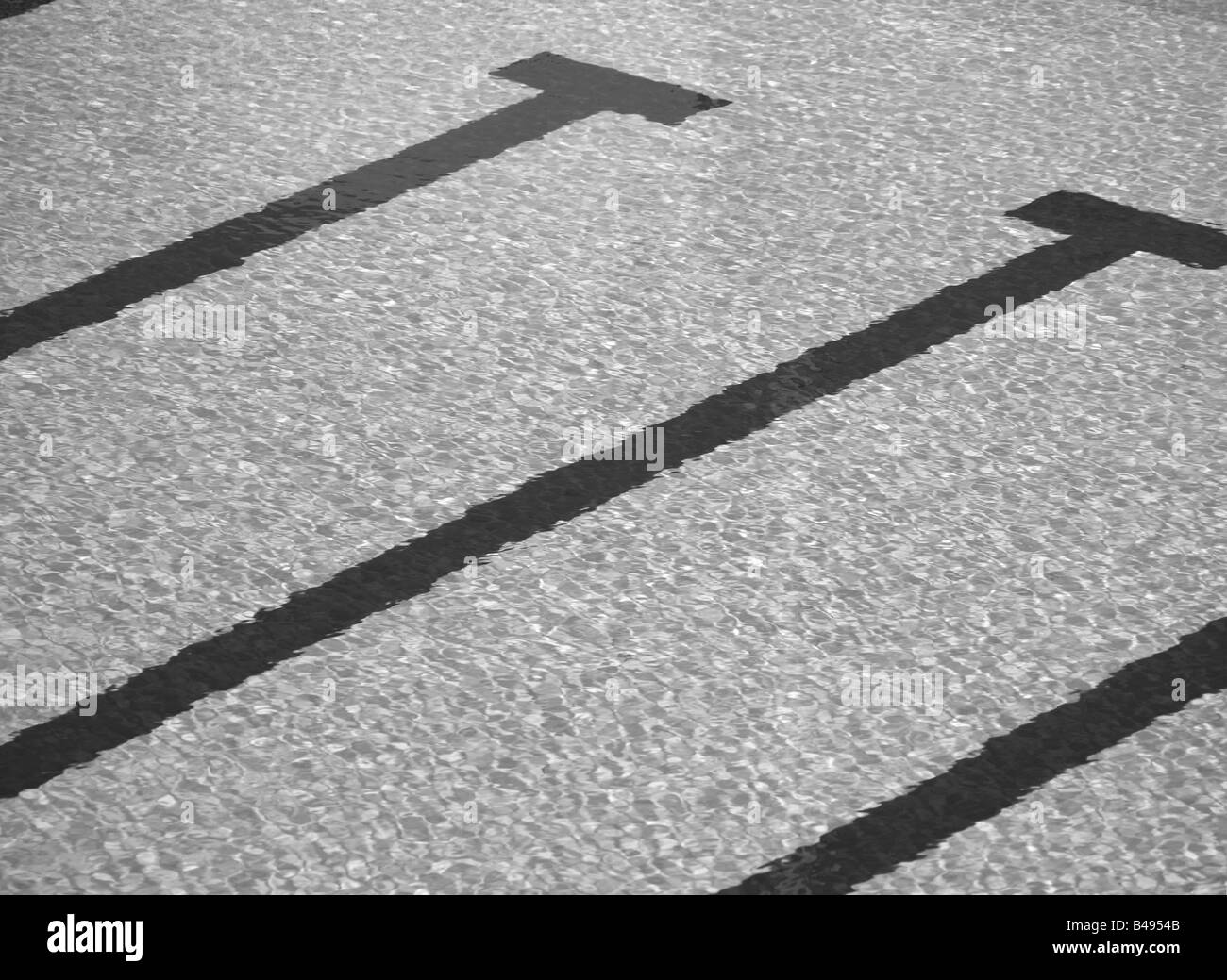 University water Black and White Stock Photos & Images - Alamy