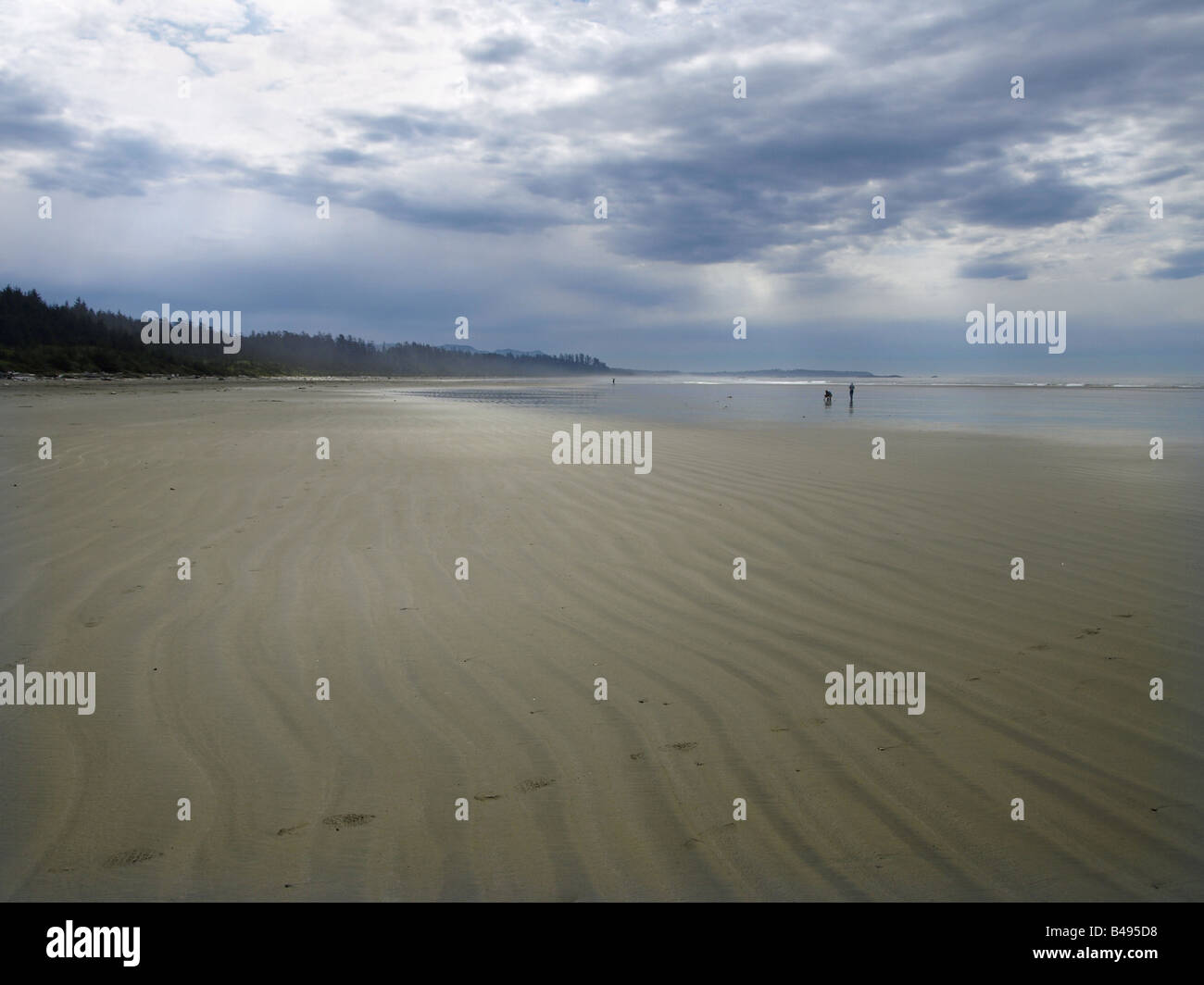 Canada pacific rim national hi-res stock photography and images - Alamy