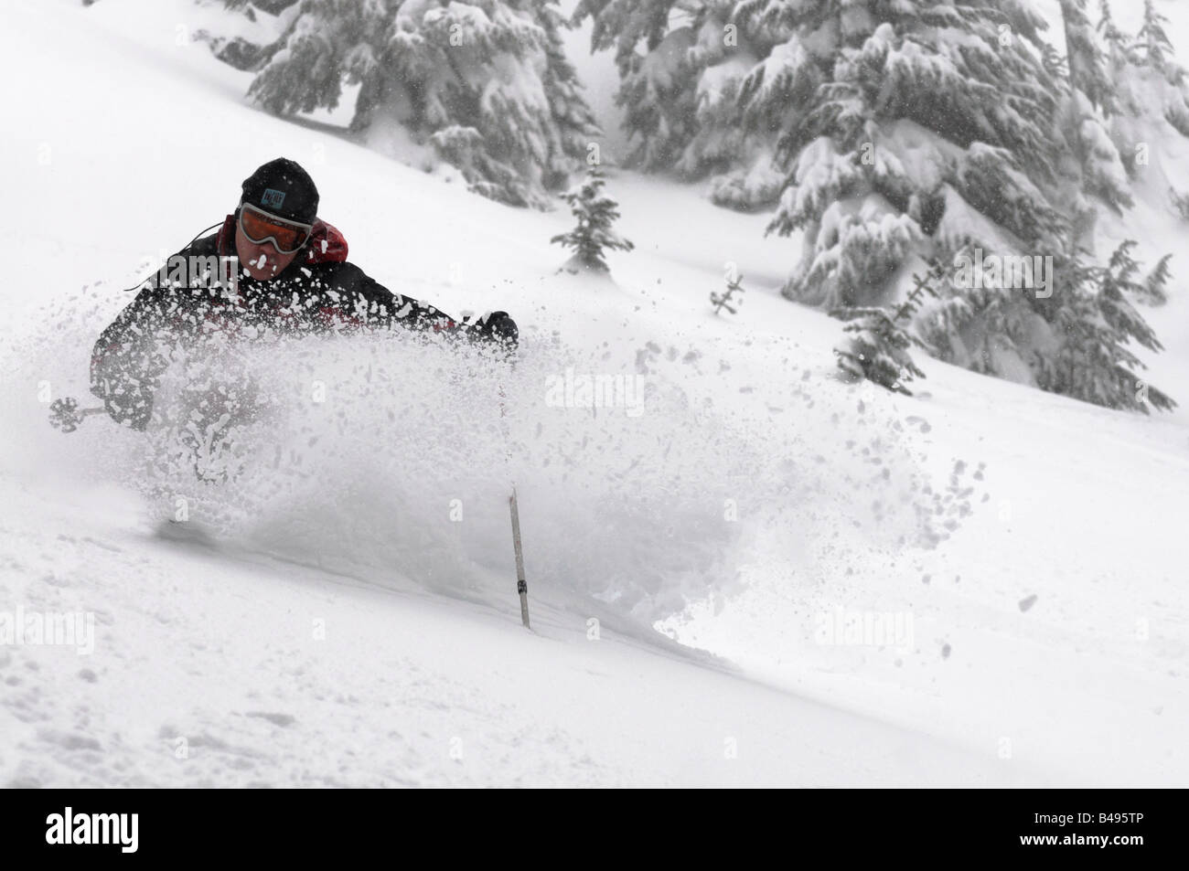 A skier in deep powder with a large spray of snow with trees in the ...
