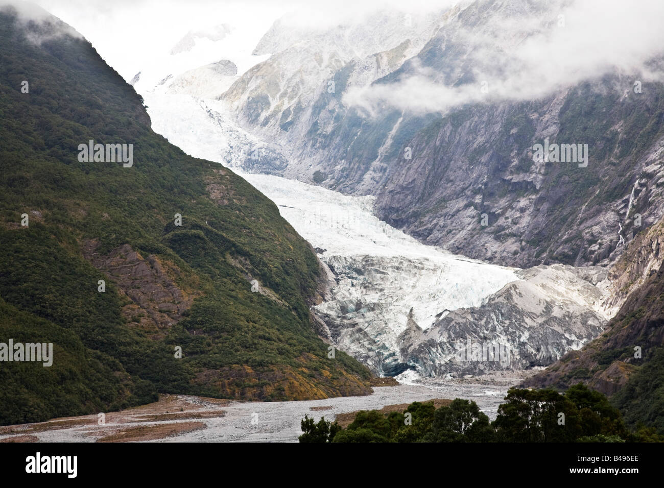 Franz Josef glacier, New Zealand Stock Photo - Alamy